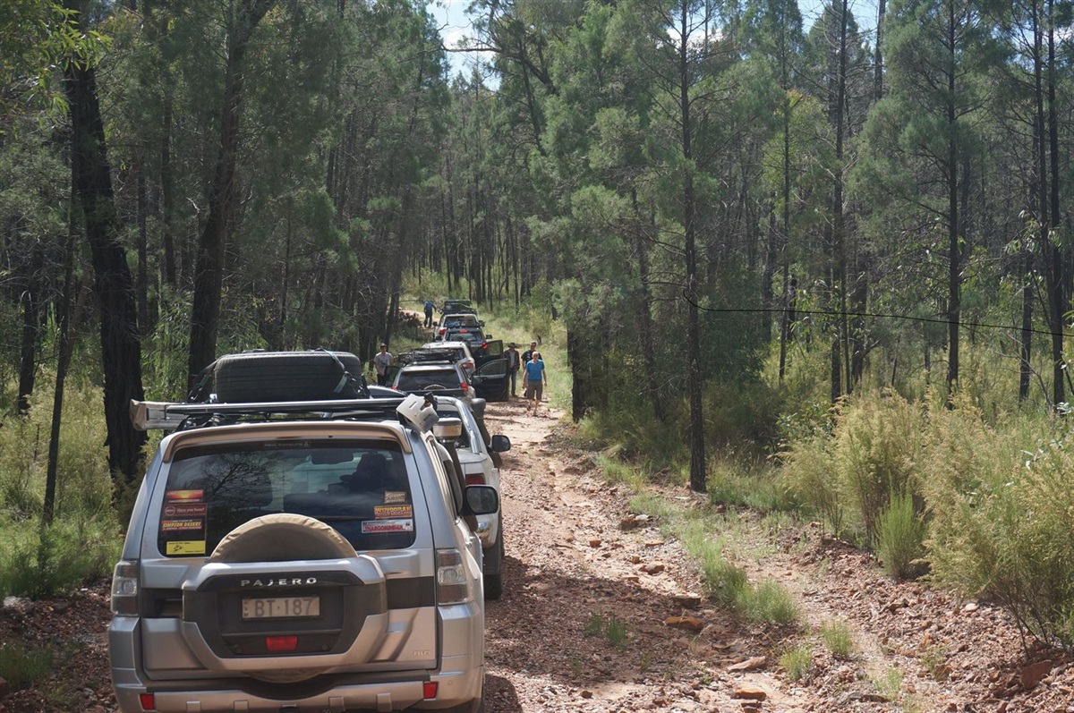 Simmo's Outback 4WD Safari Lightning Ridge Region