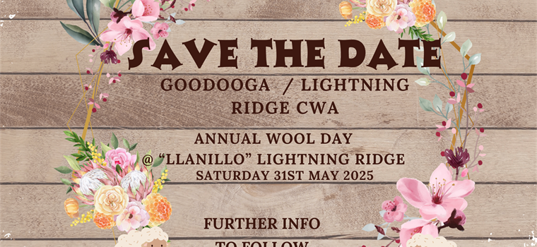 Home Lightning Ridge Region